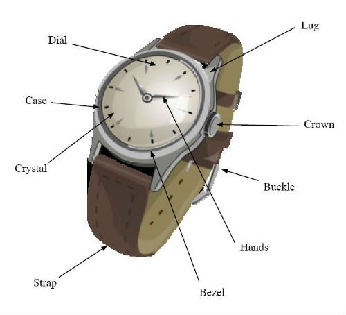 What Are Watch Parts Called Guide To Watches Vintage