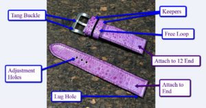 Parts Of A Watch | 101 Guide To Part Names Inside & Out