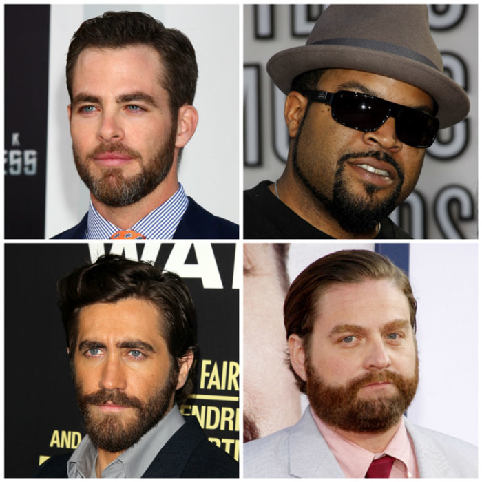 #1 Best Boxed Beard Styles: Growth, Maintenance & Face Shape Guide