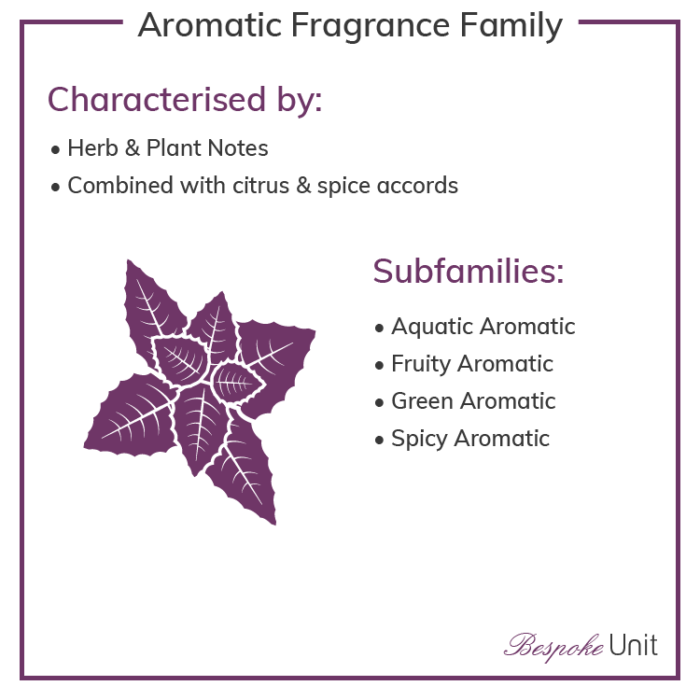 What Are Olfactive Families & Fragrance Wheels? Perfume Group Guide
