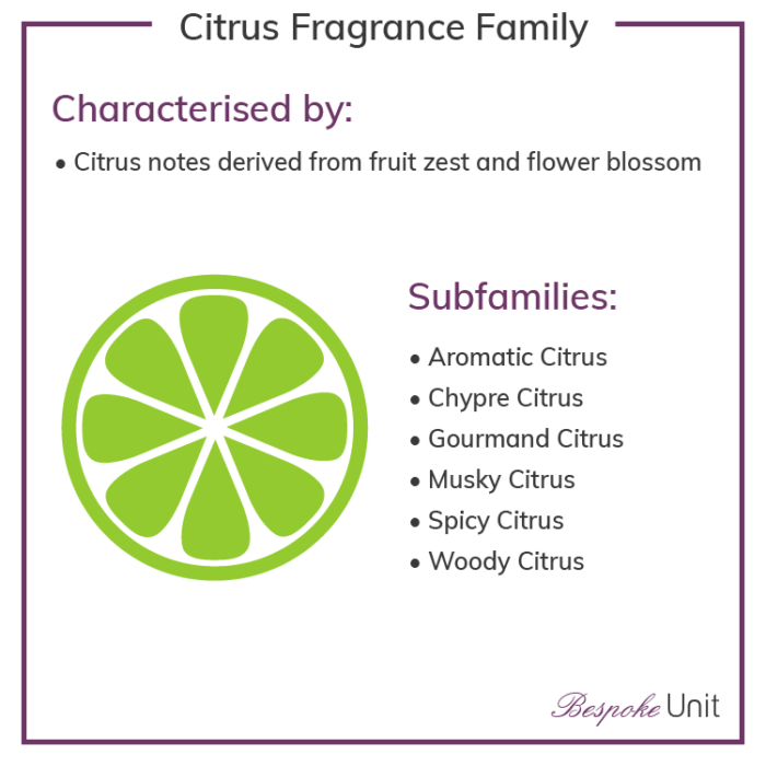 What Are Olfactive Families & Fragrance Wheels? Perfume Group Guide