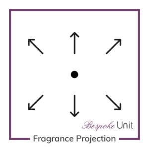 How Do You Evaluate Fragrances? The Best Fragrance Review Formula