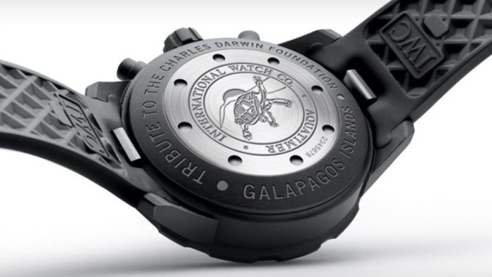 IWC Watch Brand Review & History: Swiss-Made Luxury For Every Taste