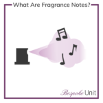 What Is The Perfume Pyramid? Fragrance Composition & Life-Cycle