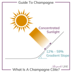 What Are Champagne Grapes, Grand Crus & Premiers Crus? Exploring The ...