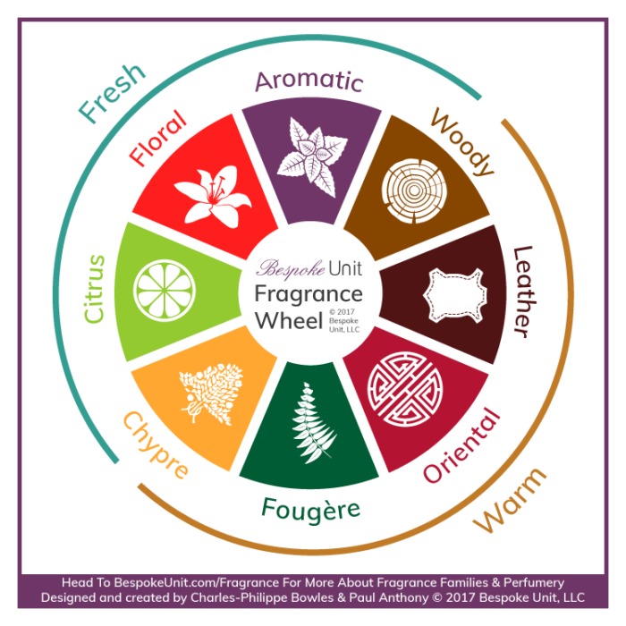 What Are Olfactive Families & Fragrance Wheels? Perfume Group Guide
