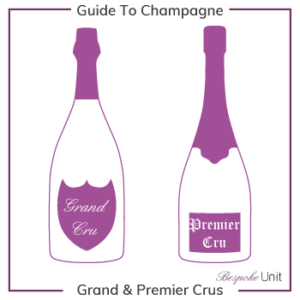What Are Champagne Grapes, Grand Crus & Premiers Crus? Exploring The ...