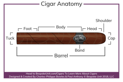 Cigar Anatomy 101: Cigar Parts, Tobaccos & Cross-Section Diagram