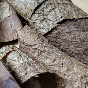 Cigar Anatomy 101: Cigar Parts, Tobaccos & Cross-Section Diagram