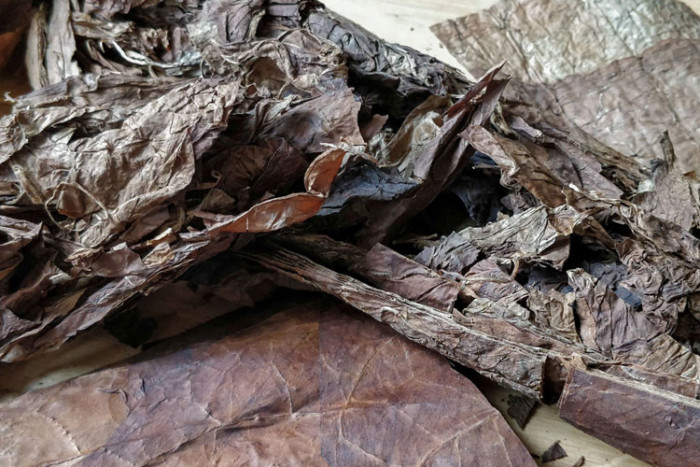 Cigar Anatomy 101: Cigar Parts, Tobaccos & Cross-Section Diagram