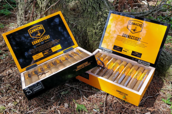Camacho Connecticut Cigar Review: Regular Parejo Vs. Box-Pressed BxP