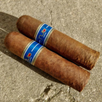 Nub Sumatra Cigar Review: Gordito With Oliva Serie V Melanio Wrapper