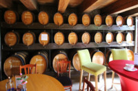 What Is Jenever & How To Drink It: Top 10 Best Dutch Gin