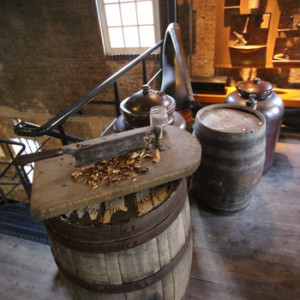 What Is Jenever & How To Drink It: Top 10 Best Dutch Gin