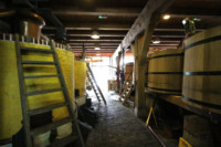 What Is Jenever & How To Drink It: Top 10 Best Dutch Gin