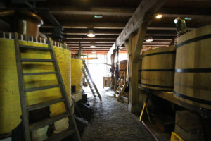 What Is Jenever & How To Drink It: Top 10 Best Dutch Gin