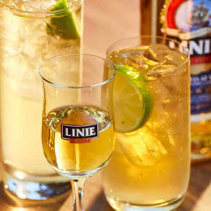 What Is Akvavit? How To Serve Aquavit & Top 10 Best Akvavit Brands