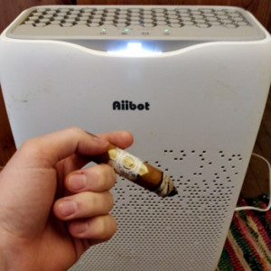 Best Air Purifiers For Cigar Smoke: Top 10 Cigar Room Air Filters