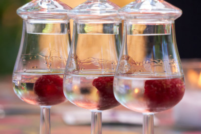 What Is Obstler Schnaps? Top 10 Best Deutscher & Austrian Schnapps