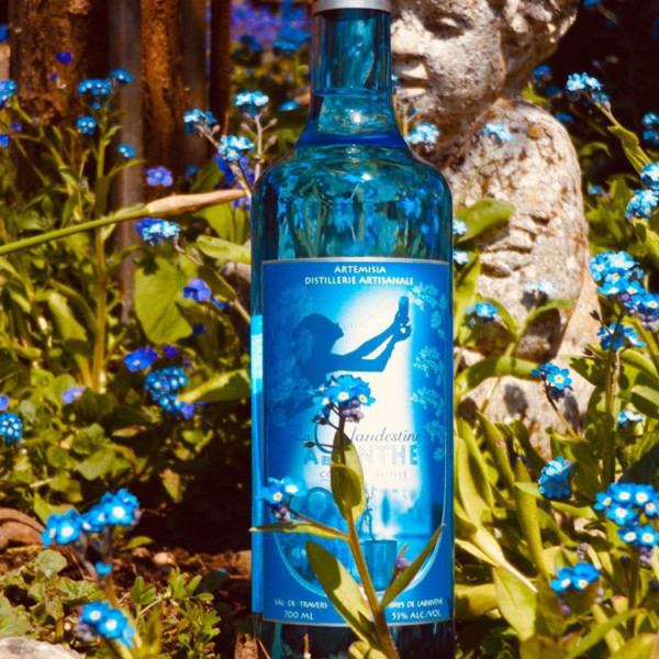 Top 10 Best Absinthe & Where To Buy It In The USA