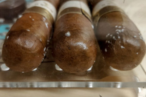 What Is Cigar Mold & How To Prevent It