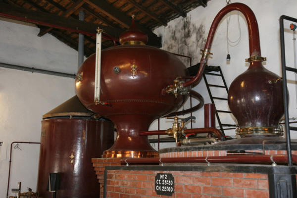 How Cognac Is Made & The Different Types of Cognac Regions