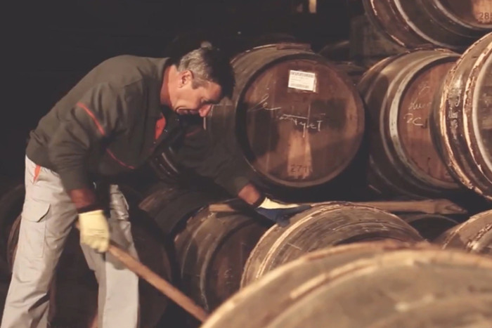 How Cognac Is Made & The Different Types of Cognac Regions