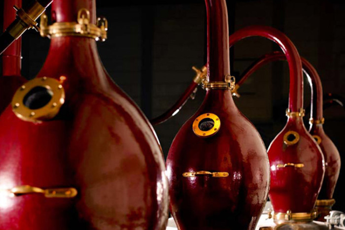 How Cognac Is Made & The Different Types of Cognac Regions