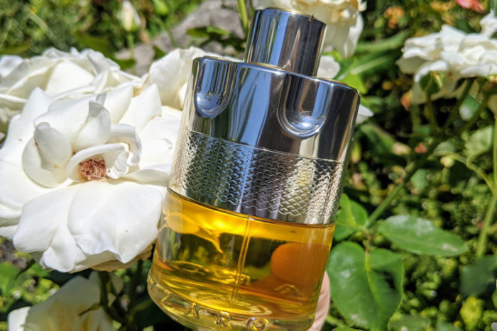 Azzaro Wanted Men's Fragrance Review