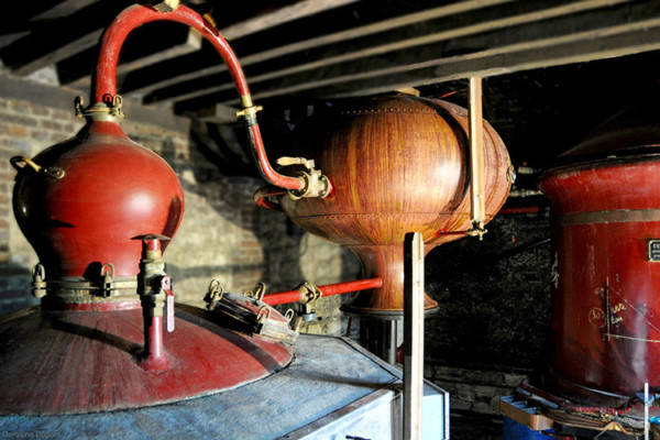 How Calvados Apple Brandy Is Made & Its Ingredients