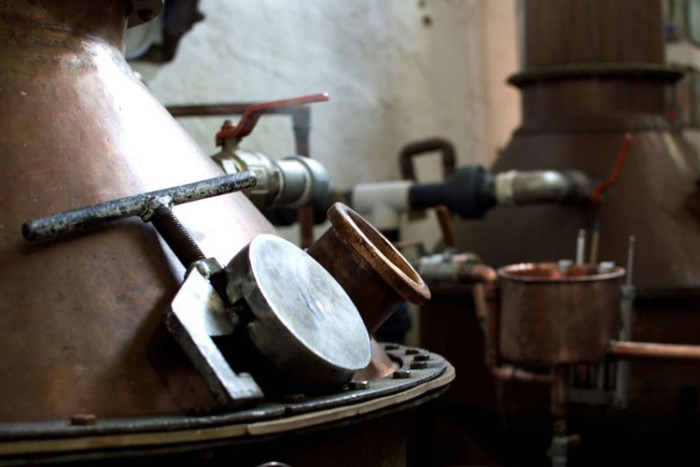 How Tequila Is Made & Its Ingredients