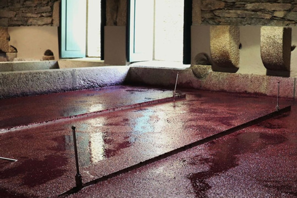 How to Make Port & What Port Wine Is Made From?