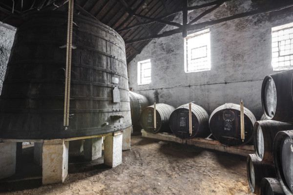 How to Make Port & What Port Wine Is Made From?