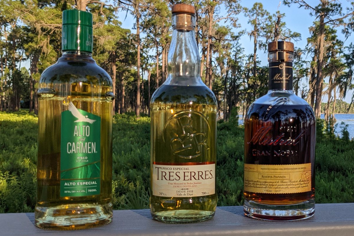 Top 10 Best Pisco & Where To Buy Pisco In The USA
