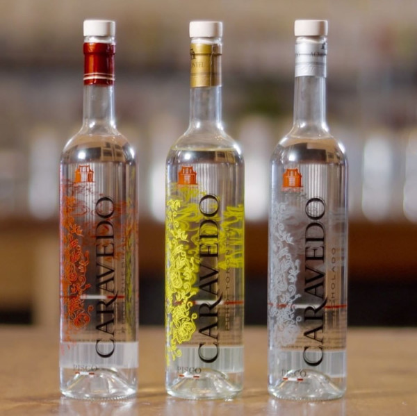 Top 10 Best Pisco & Where To Buy Pisco In The USA