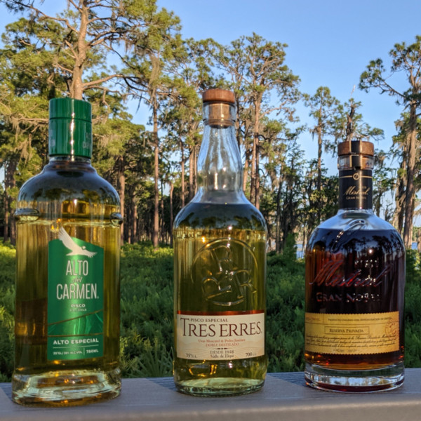 Top 10 Best Pisco & Where To Buy Pisco In The USA