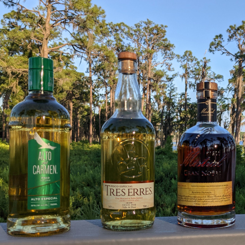 Top 10 Best Pisco & Where To Buy Pisco In The USA
