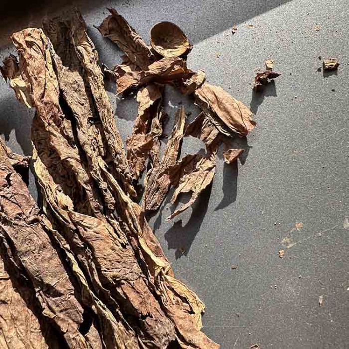 Review Of The BLTC Royalty Cigar - BespokeUnit