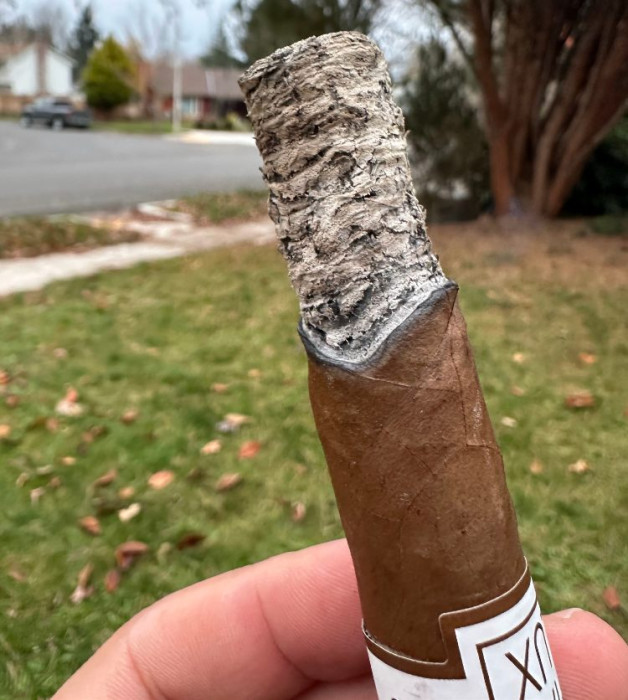 Luciano Fiat Lux Cigar Review – Intuitions Vitola