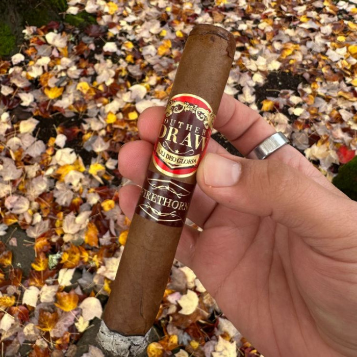Southern Draw Firethorn Cigar Review | A Rosado Wrapped Delight